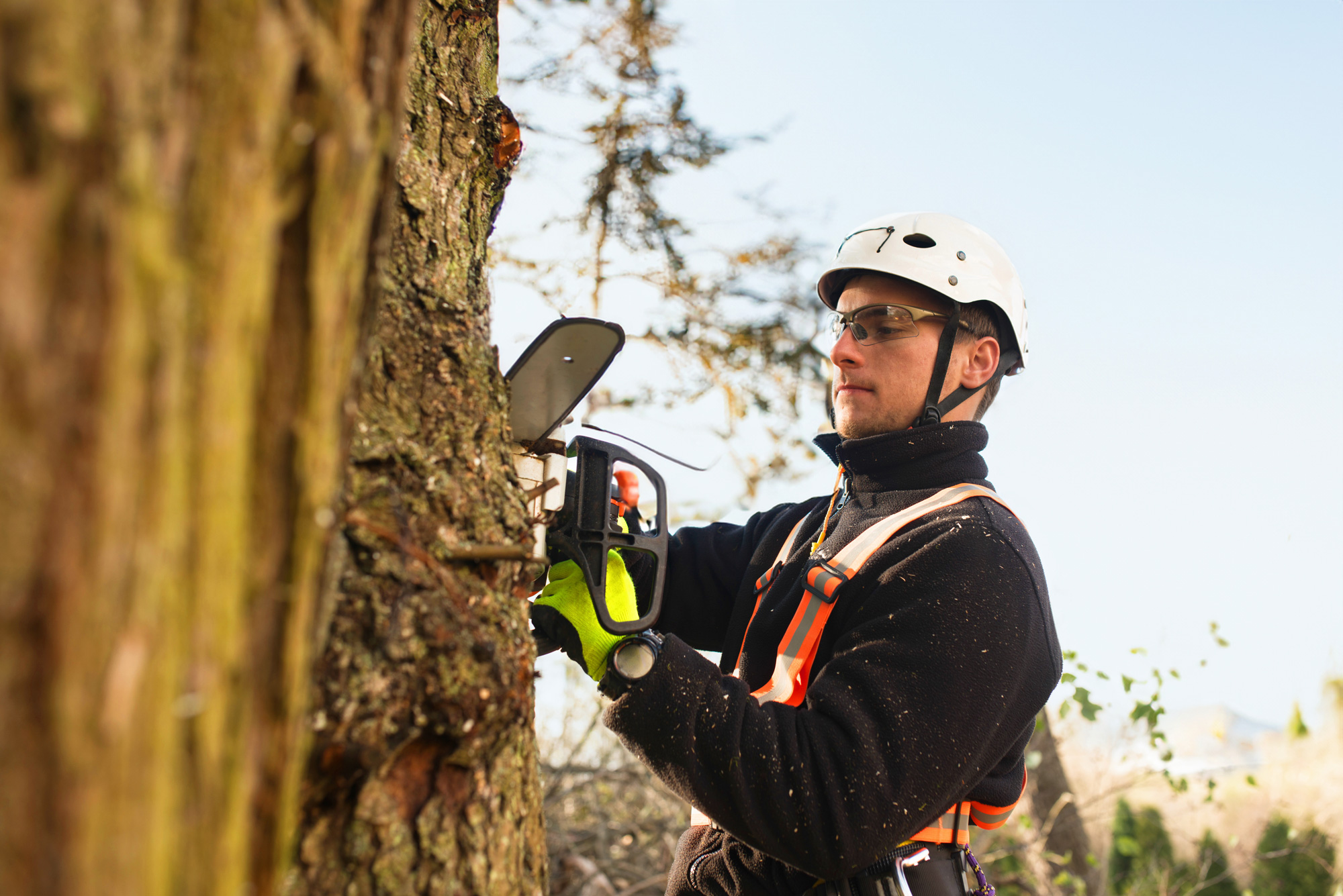 Forestry & Wood Products - IMA Financial Group
